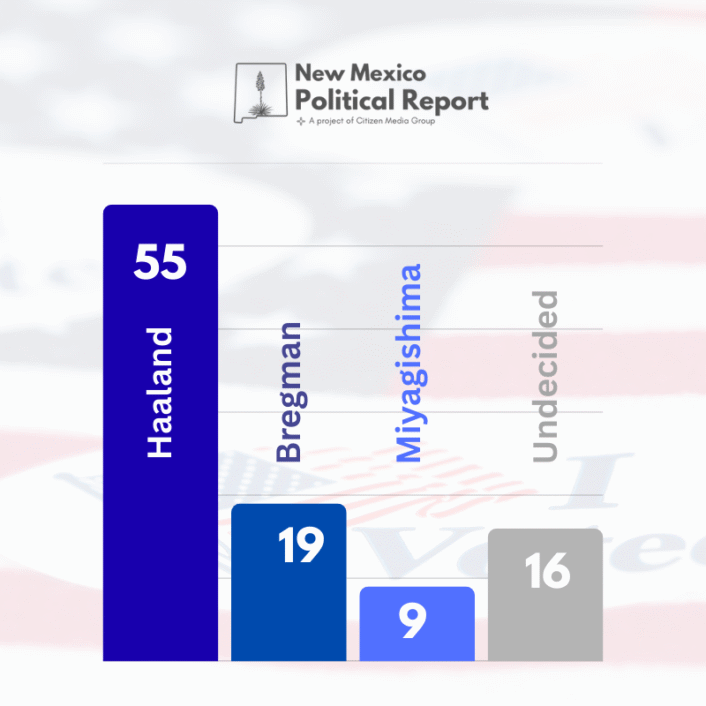 Poll shows Haaland with a commanding lead in Dem race for gov - New ...
